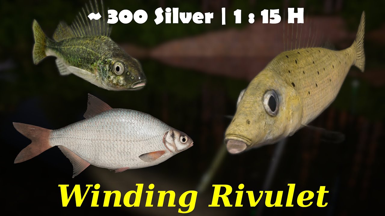 Winding Rivulet | Donets Ruffe & White Bream | Russian Fishing 4 rf4 ...