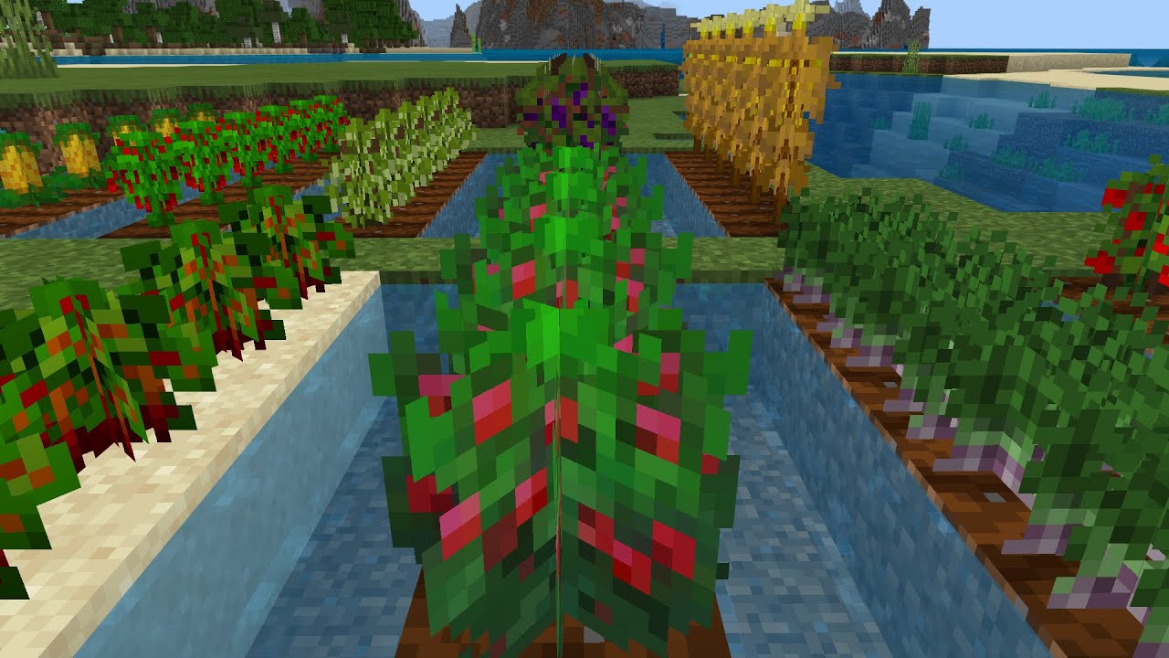 This Minecraft Bedrock Addon Adds New Crops! - YouTube