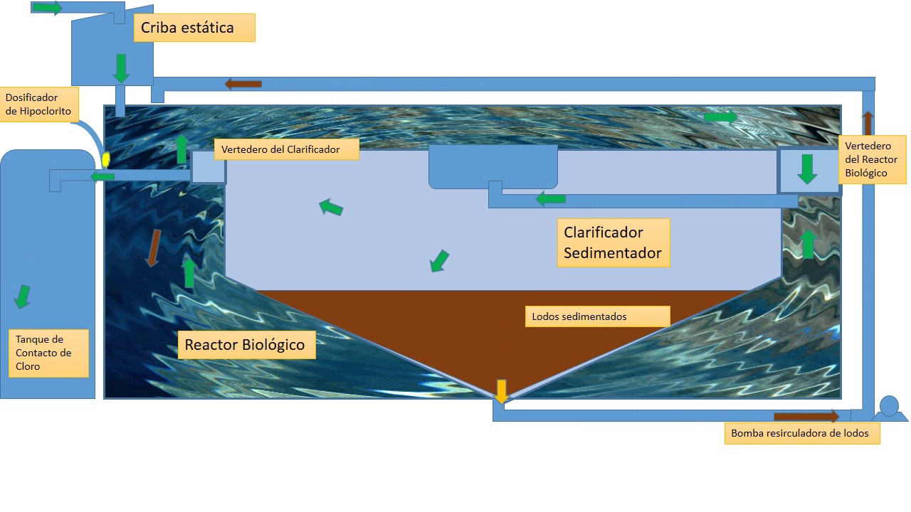 Reactor Biologico - YouTube