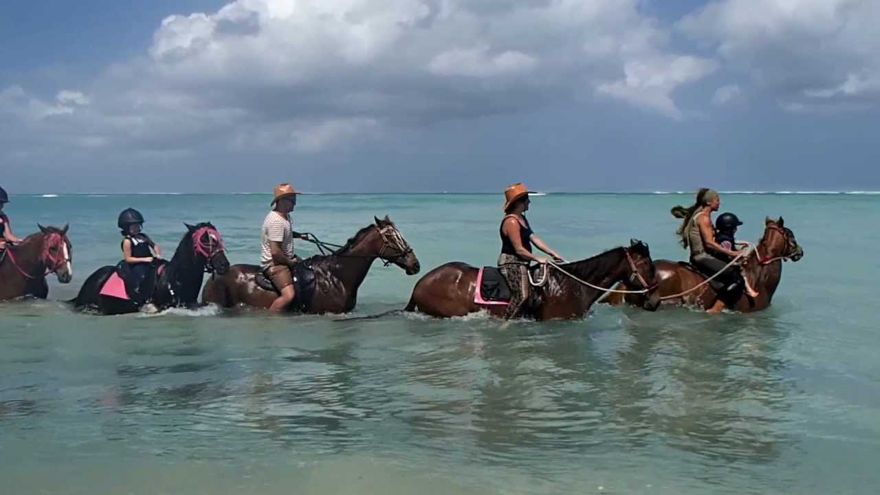 Horse riding in Tobago - YouTube