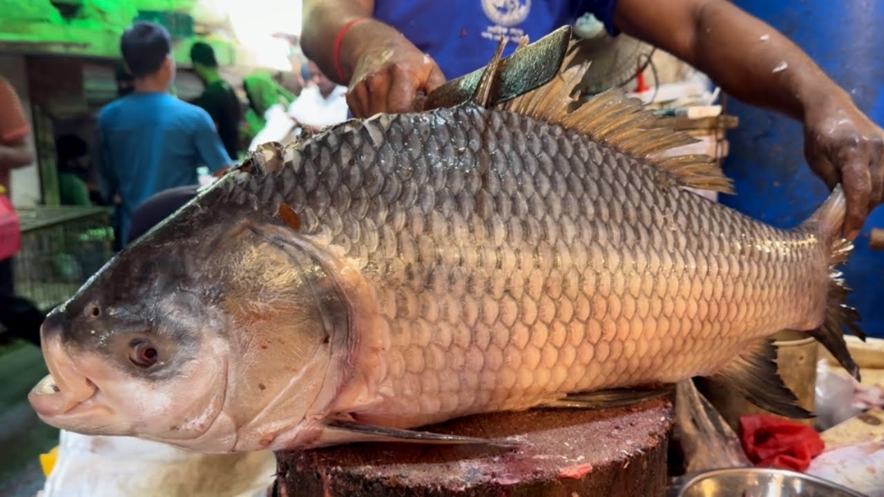 Incredible Giant Katla Fish Cutting Skills In Fish Market | Fish ...