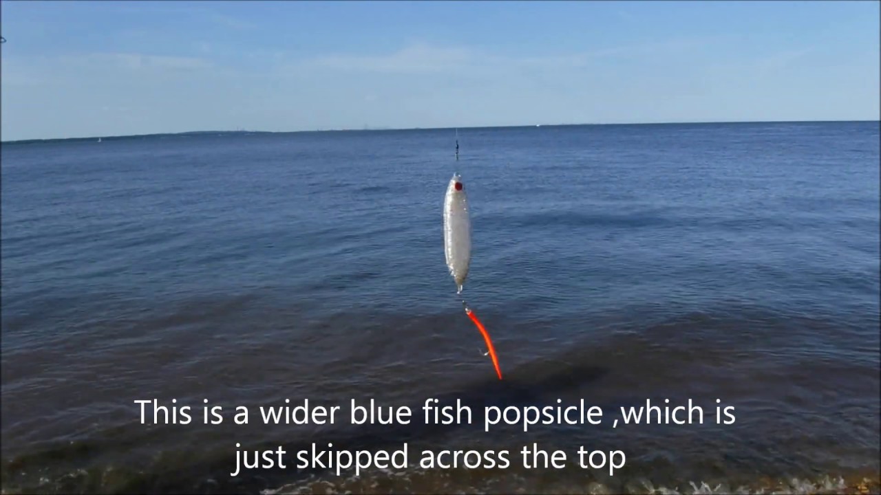The blue line of blue fish - YouTube