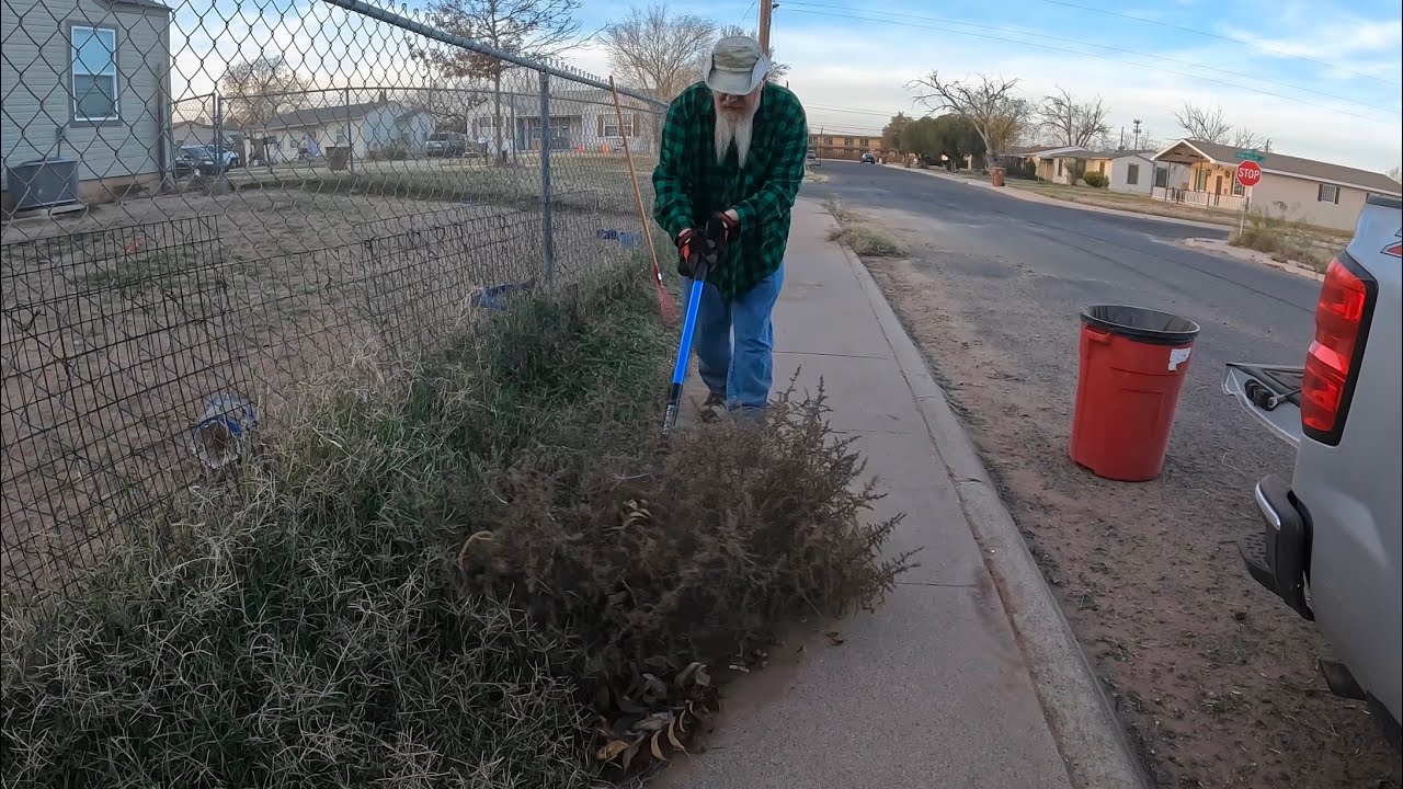 OVERGROWN SIDEWALK IS A SAFETY HAZARD! - YouTube