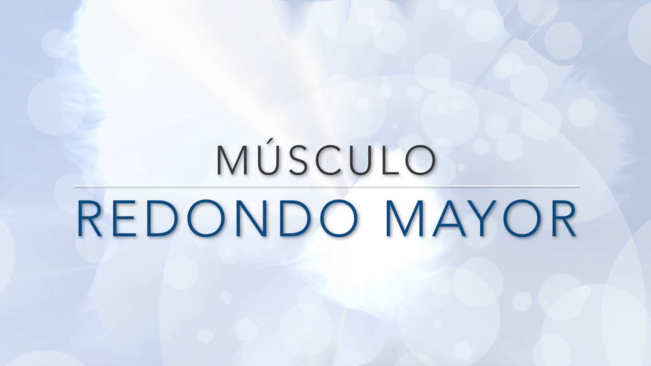 MÚSCULO REDONDO MAYOR - YouTube