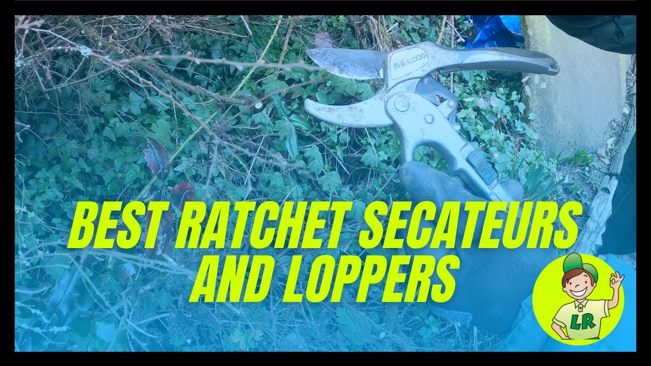Best Ratchet Secateurs And Loppers For Gardening - 3 Years Of Testing ...