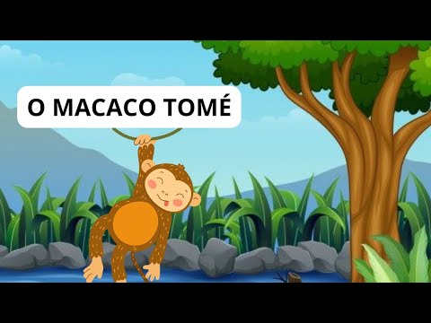 HISTÓRIA DE HOJE: O MACACO TOMÉ 🐒🌳 - YouTube