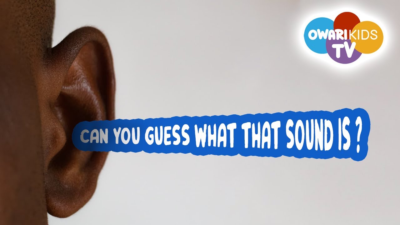 What Is That Sound? | Animal Sounds For Kids | Guess The sound! | # ...