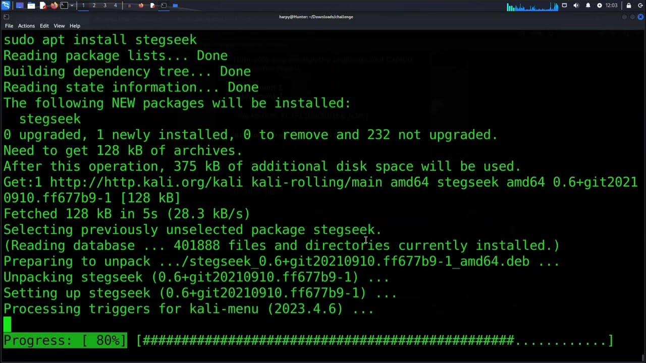 Flag Hunt 🎌 Challenge KnightCTF 2024 Walkthrough | #ctf #ethicalhacking #cybersecurity - YouTube
