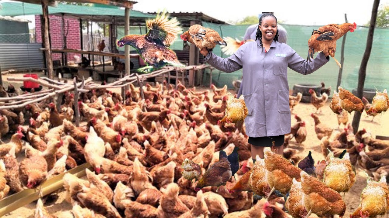 From Being a Nurse to Chicken Princess on the Smallest Space - YouTube