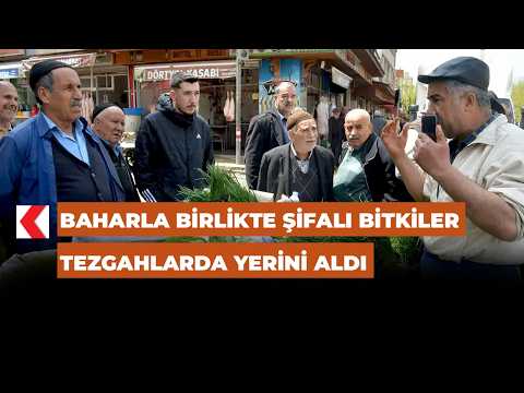 Baharla birlikte şifalı bitkiler tezgahlarda yerini aldı