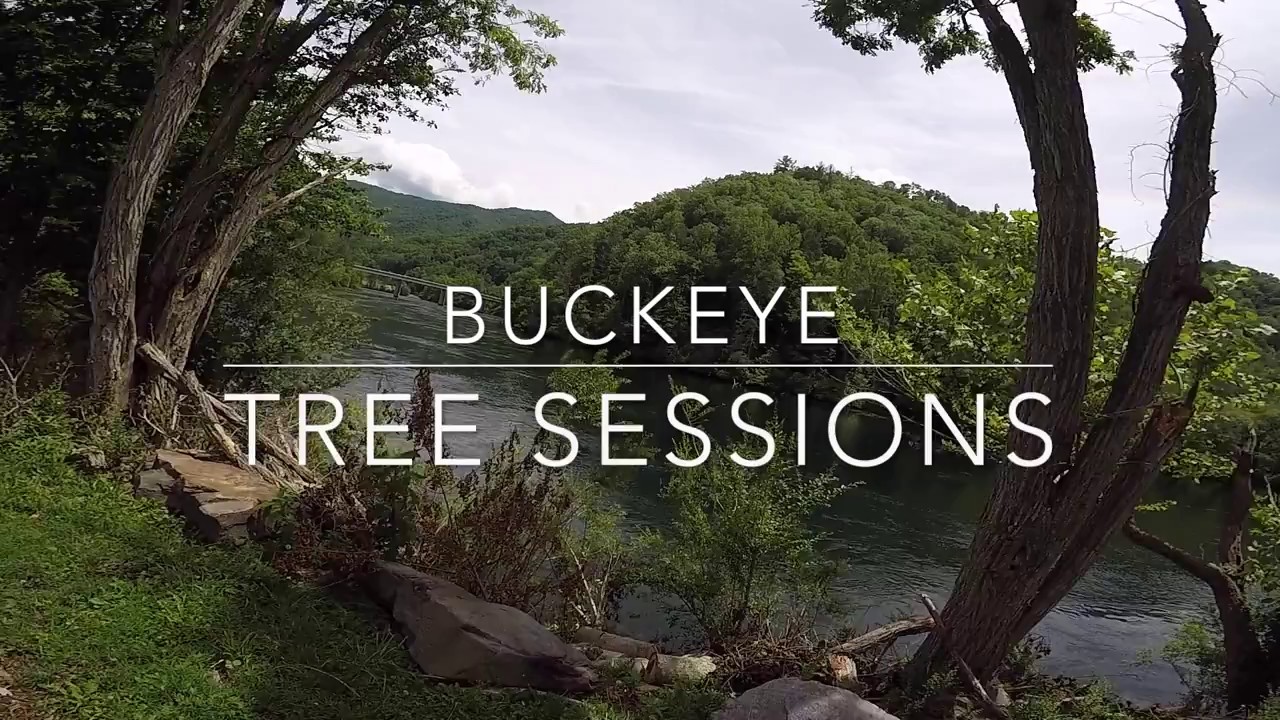 Buckeye Tree Session Summer Trailer - YouTube