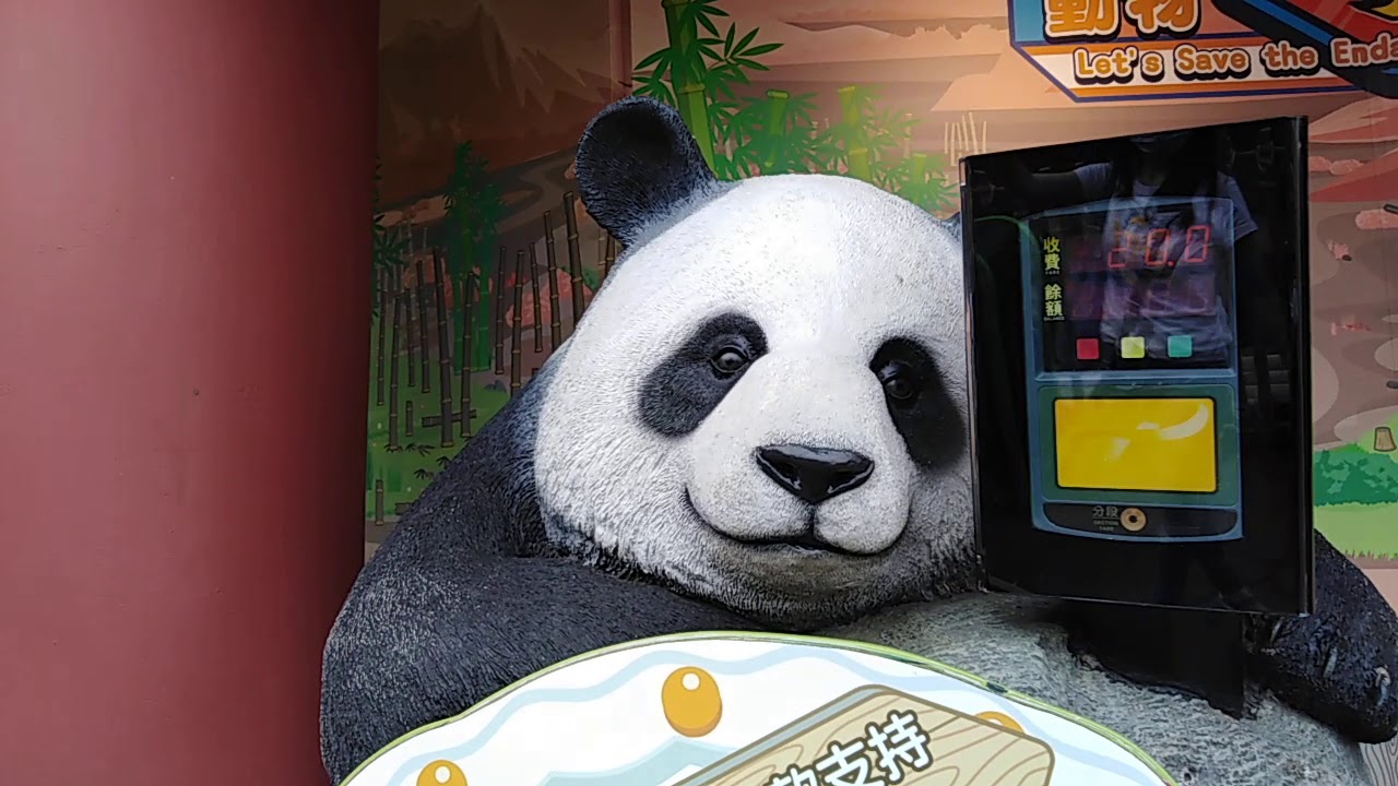 Panda encounter, giant salamander and otter @ ocean park - YouTube