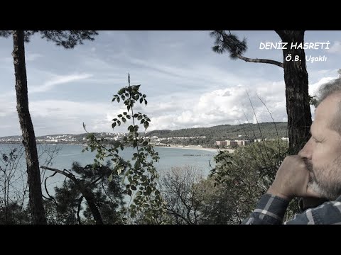 Deniz şiiri