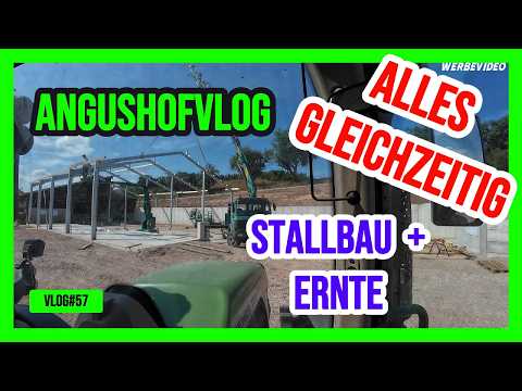 AngushofVlog #057: Der Stall wird gestellt. Gleichzeitig geht es mit der Ernte weiter.
