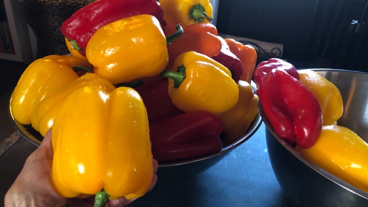 Manifesting 5D! Focus! 💫 - YouTube