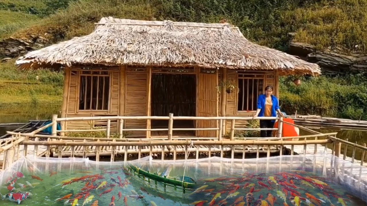 FULL VIDEO: Raising fish on the lake, Harvesting fish with nets go to ...