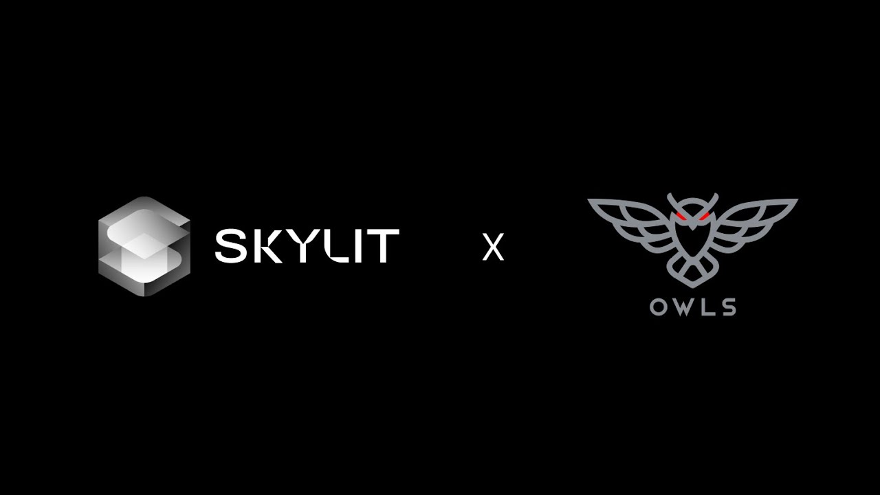 Skylit x Owls (Heatseeker 104) - YouTube