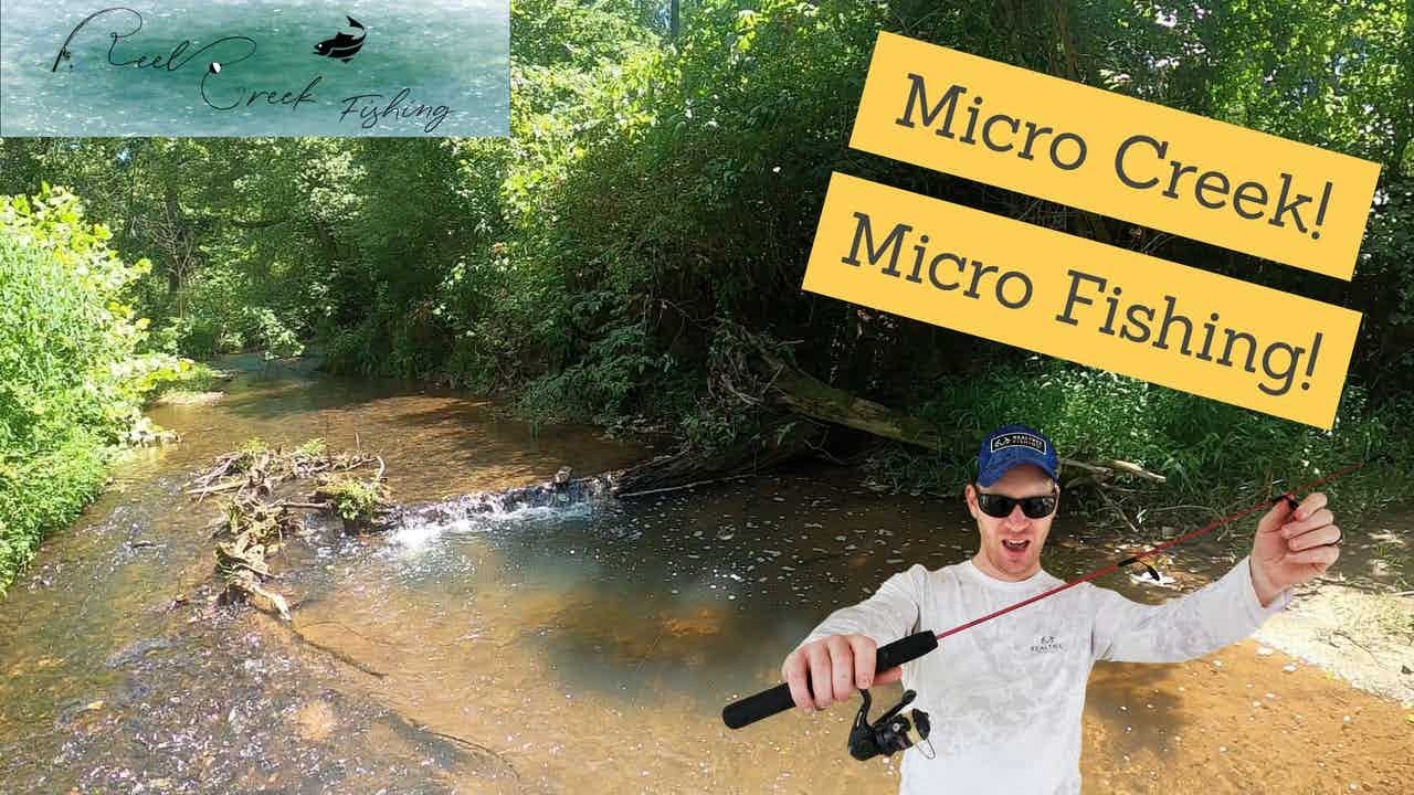 MICRO Fishing in a MICRO Creek - YouTube