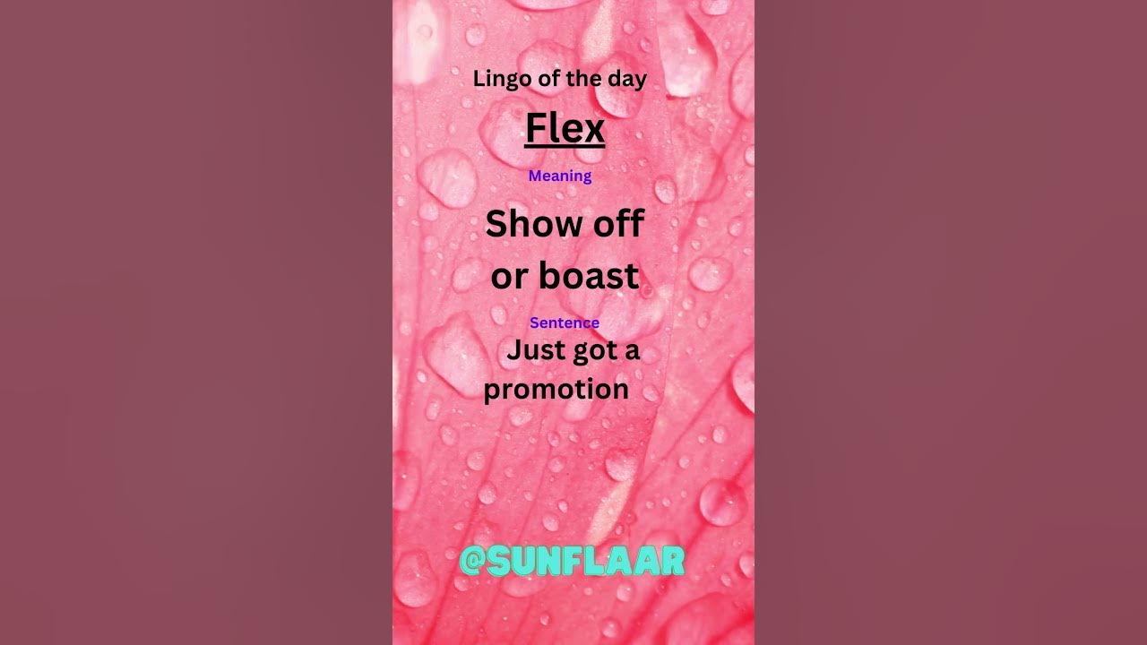 FLEX Meaning Lingo YouTube flex-meaning-lingo-youtube
