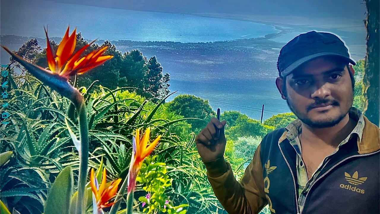 only for plant lovers gardening or plant se pyar krne walo k liye # ...