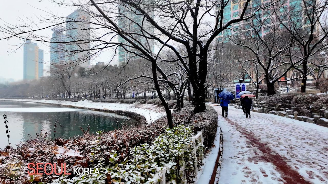 Seokchon Lake and Songridan-gil with heavy snow🌨 •[4k] Seoul, Korea ...