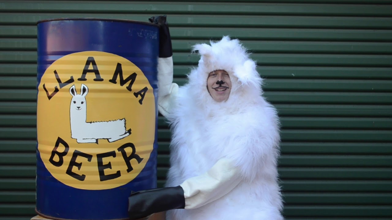 llama beer dirty tricks - YouTube