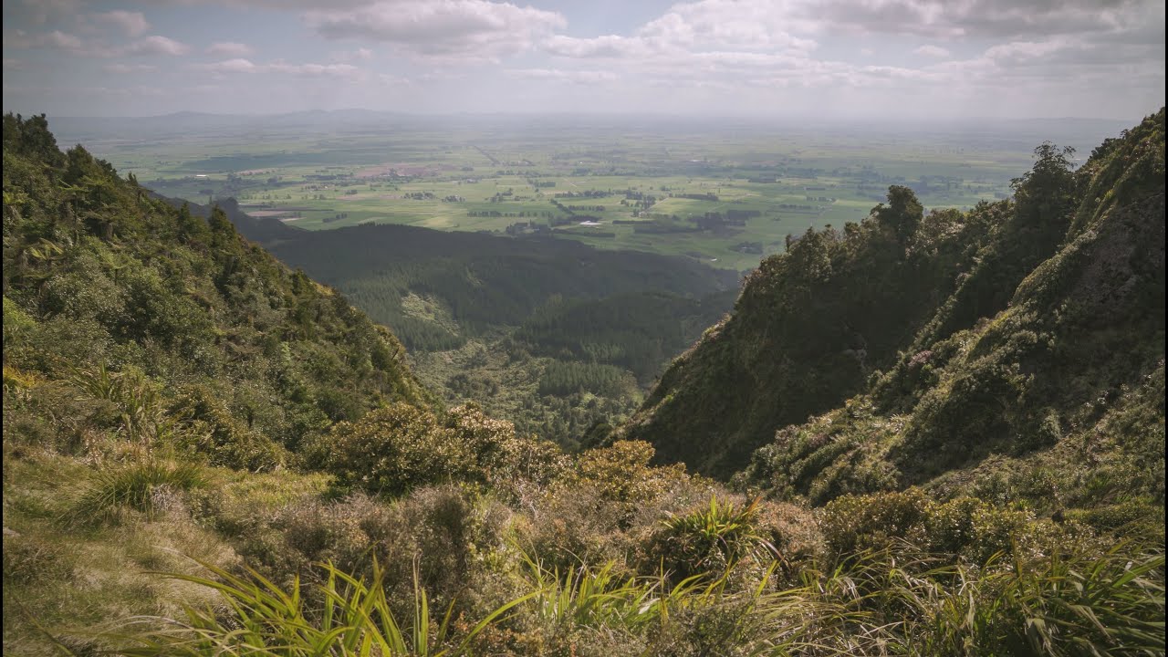 Te Rereatukahia Hut Overnight Hike, Kaimai Mamaku Conservation Park ...