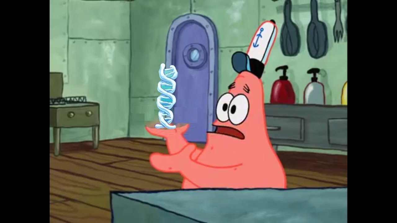 Patrick that's a snowball - Patrick that's a gun new version in snow ...