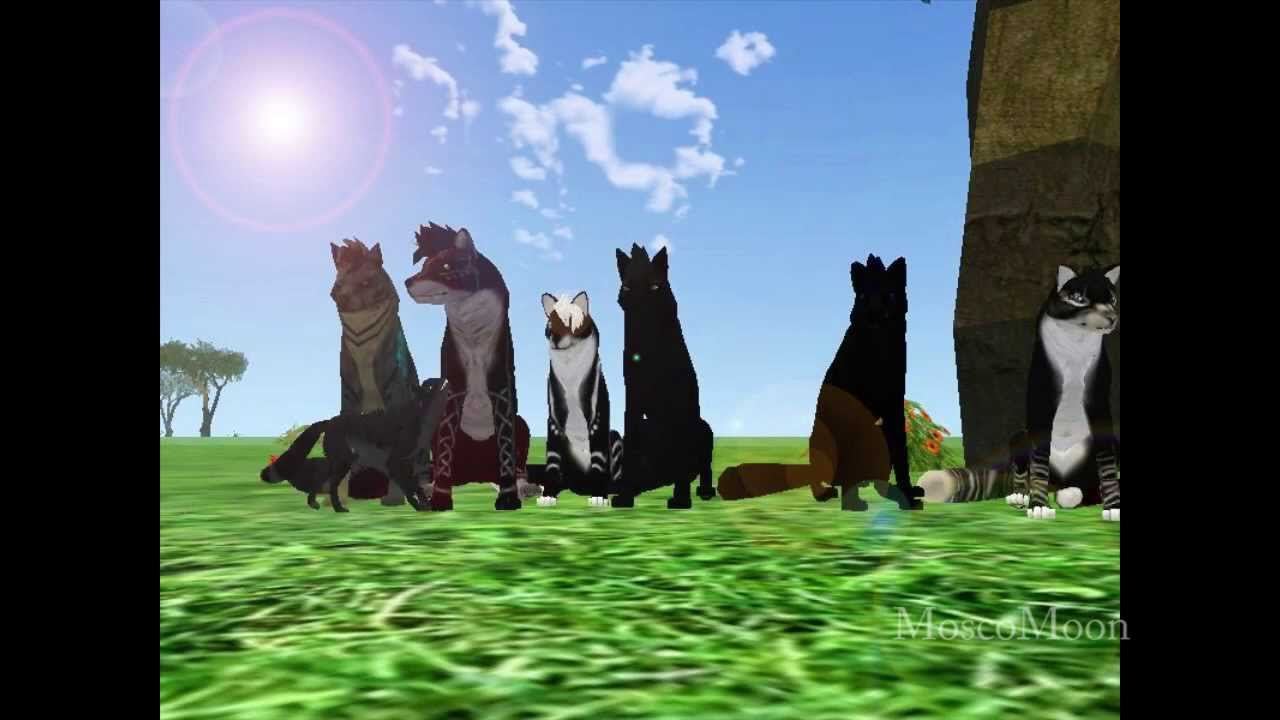 Benevolent Wolf Pack ~ Feral Heart ~ Return to Innocence - YouTube