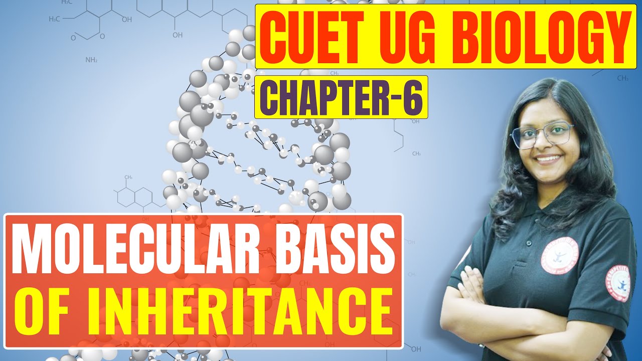 CUET UG Biology: Molecular Basis of Inheritance | CUET UG BIOLOGY ...