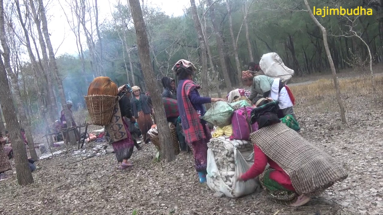 nepali nomad traders || lajimbudha || - YouTube