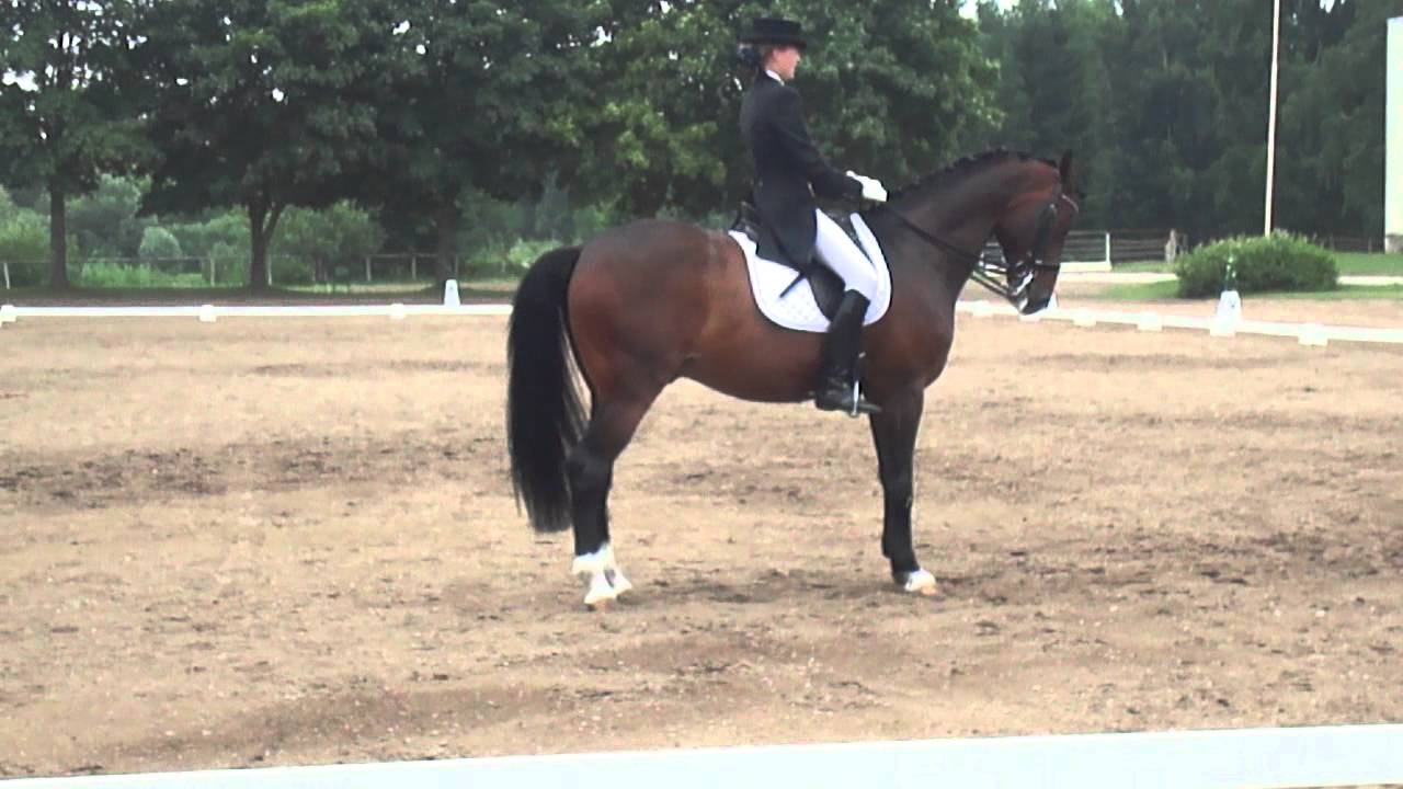 Everita&Remarks - YouTube