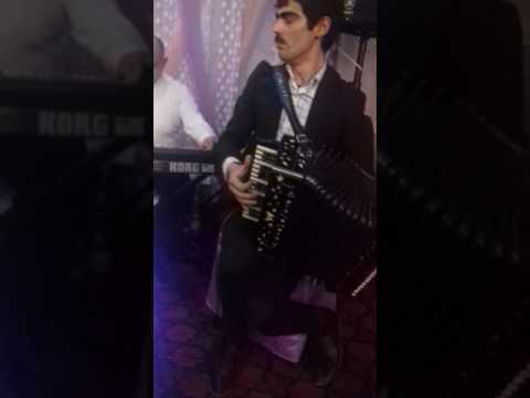 XEQANI ASLAN Yegane reqsi