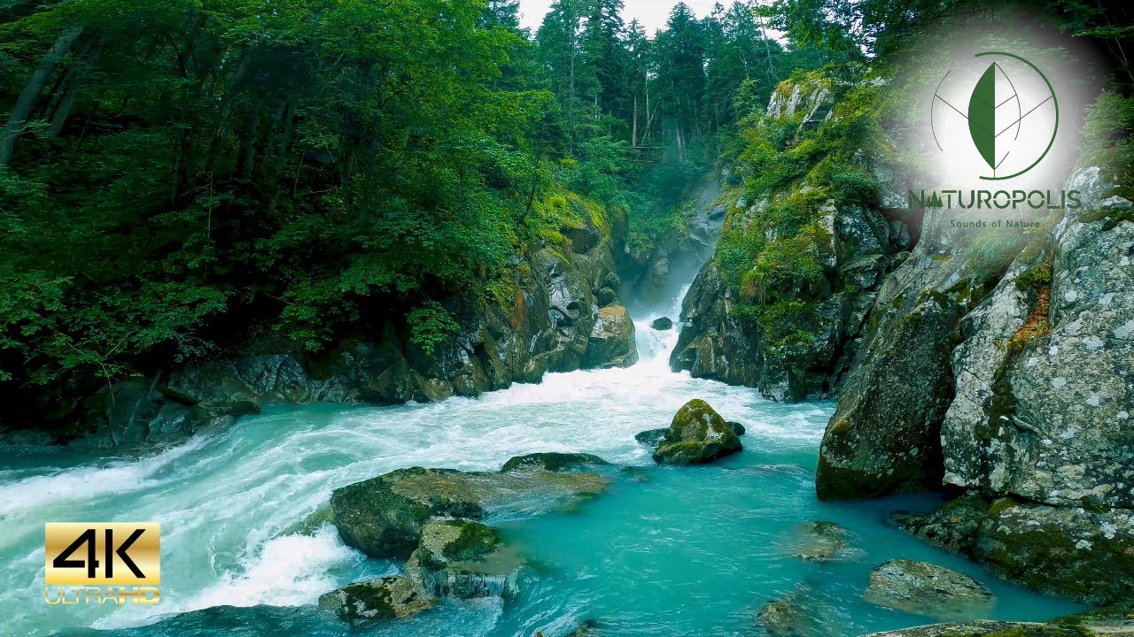RAGING RIVER | Sounds of Nature | A Raging River with Pools and ...