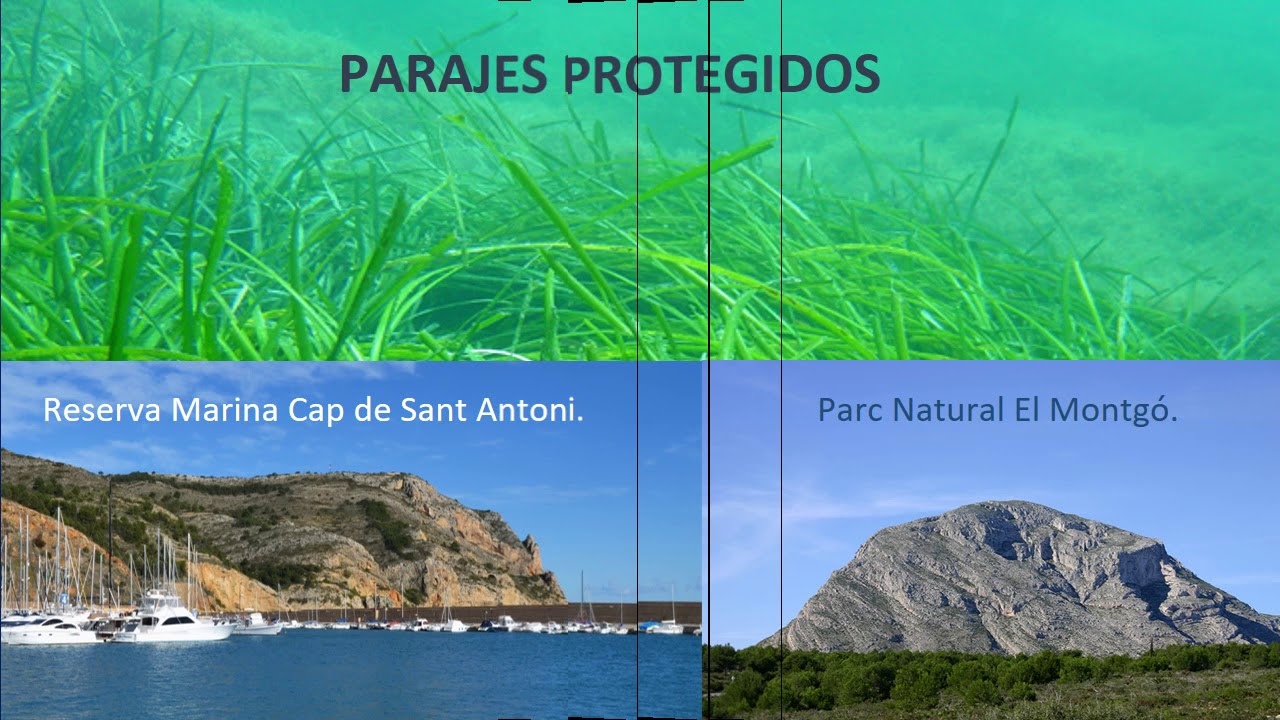 SIMO MADRID 2017 - YouTube