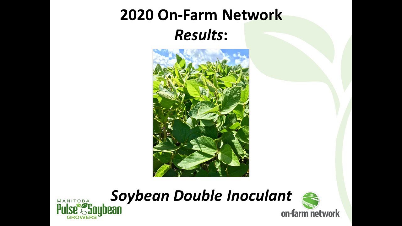 2020 On-Farm Network Results Series: Soybean Double Inoculant - YouTube