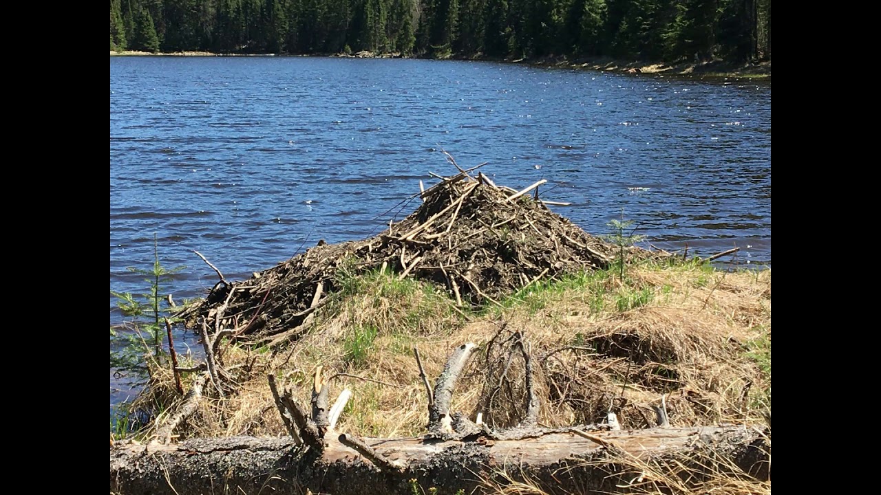 The Lookout and Thompson Lake in Pictures May 2020 - YouTube