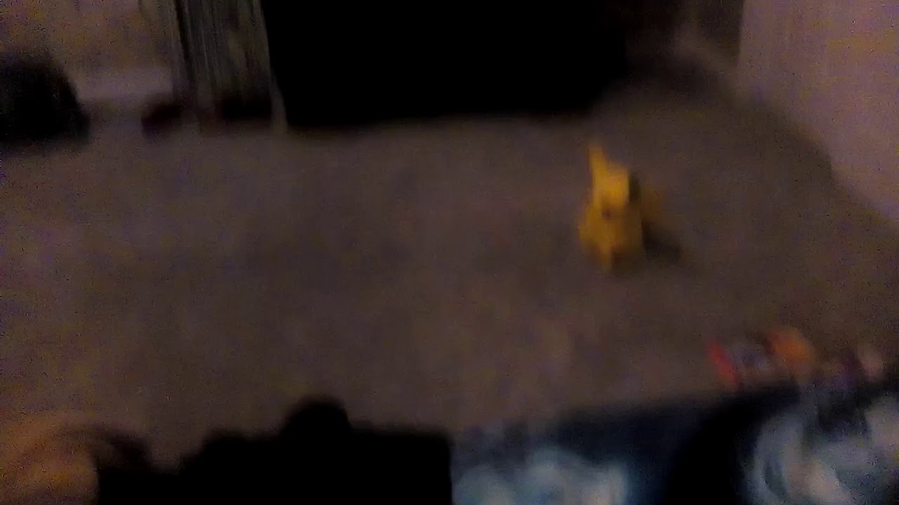 Epic Pokemon battle between Charmander and Pikachu - YouTube