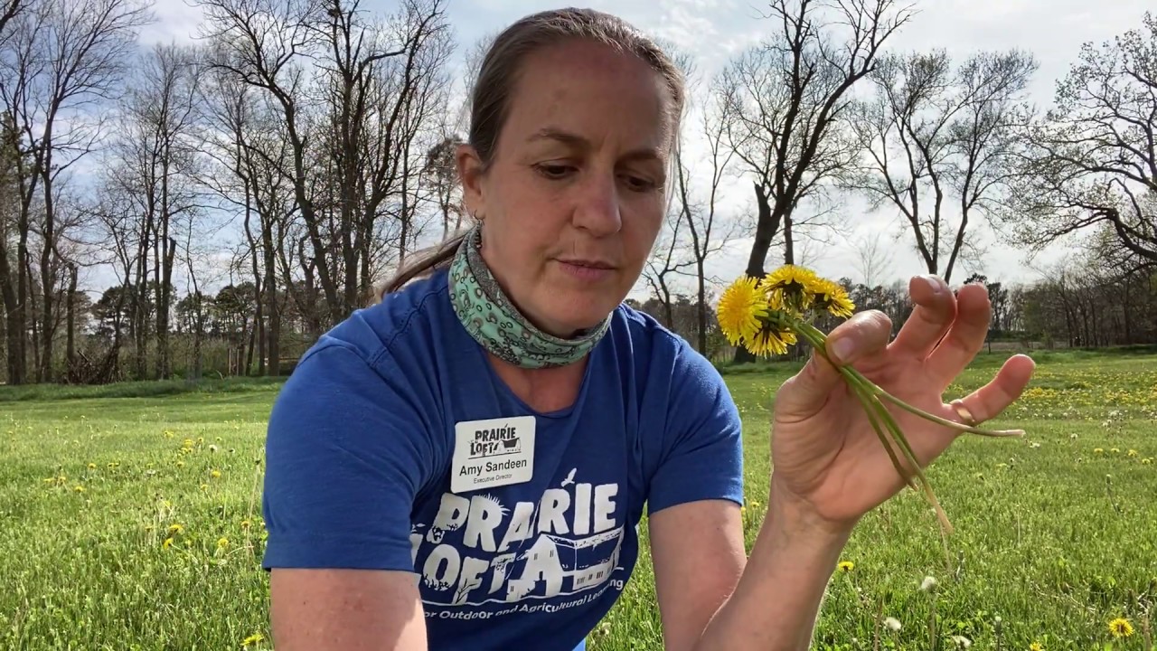 How to Make a Dandelion Crown - YouTube