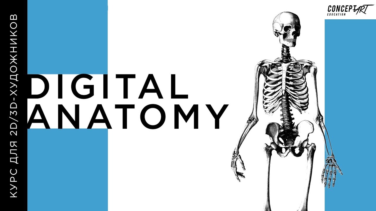 Курс "Digital Anatomy" • Лекция №1 - YouTube