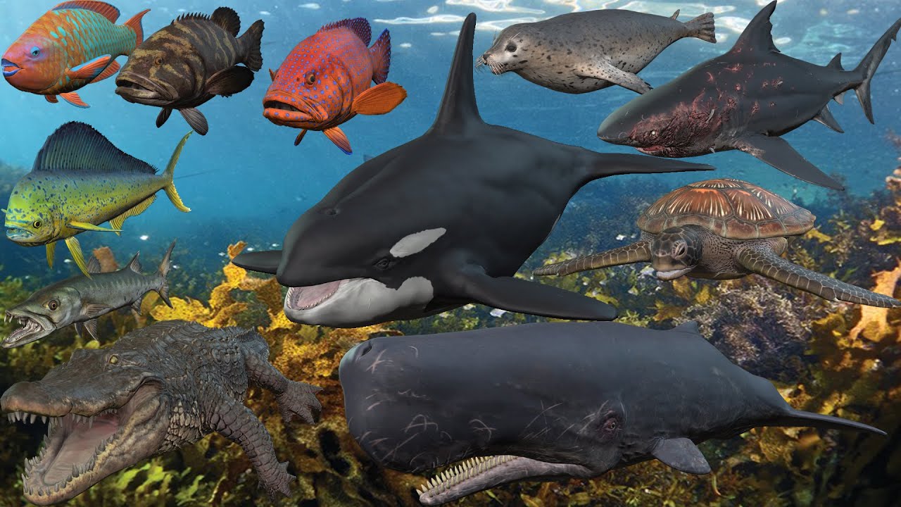 UNDERWATER ANIMALS (New Animals + Animations) (Maneater Model) FCMP-151 ...
