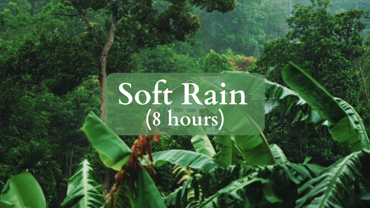 Soft Rain Sounds For Sleeping - meditation- destress- Relaxing Sleep ...