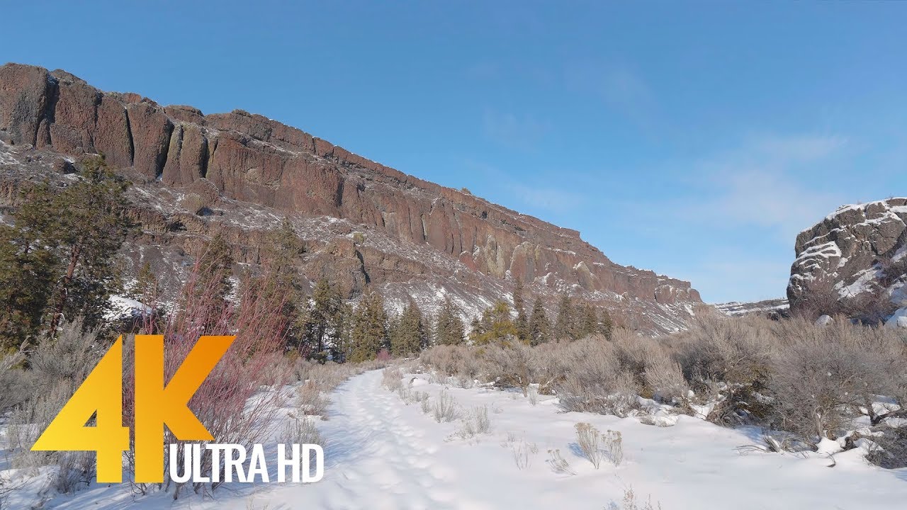4K Virtual Hike with Snow Crunching Sound - Winter Walk along Northrup ...