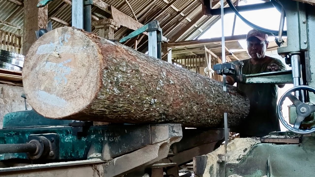 Processing of sawmills of decent quality pine wood using machine tools in a wood factory - YouTube