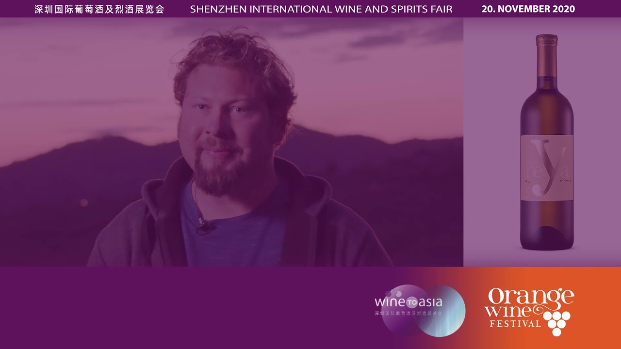 Top Orange Wines from Slovenia Masterclass @WineToAsia (Flight 3) - YouTube