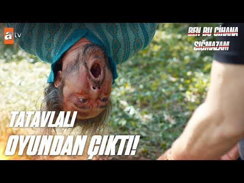 Cezayir, Tatavlalı'nın sonu oldu! - Ben Bu Cihana Sığmazam 35. Bölüm