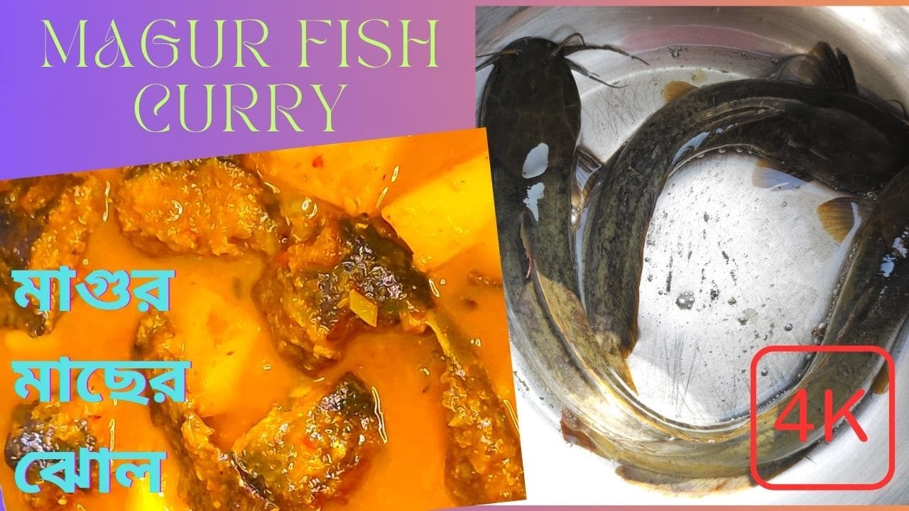 মাংসের স্বাদকে ও হার মানাবে যদি এইভাবে রান্না করা যায় দেশী মাগুরের ...