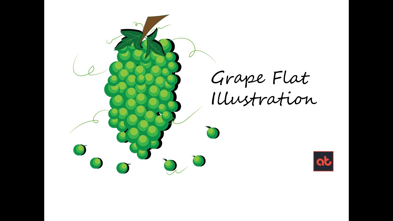 Grape Flat Illustration | Illustrator CC tutorial - YouTube