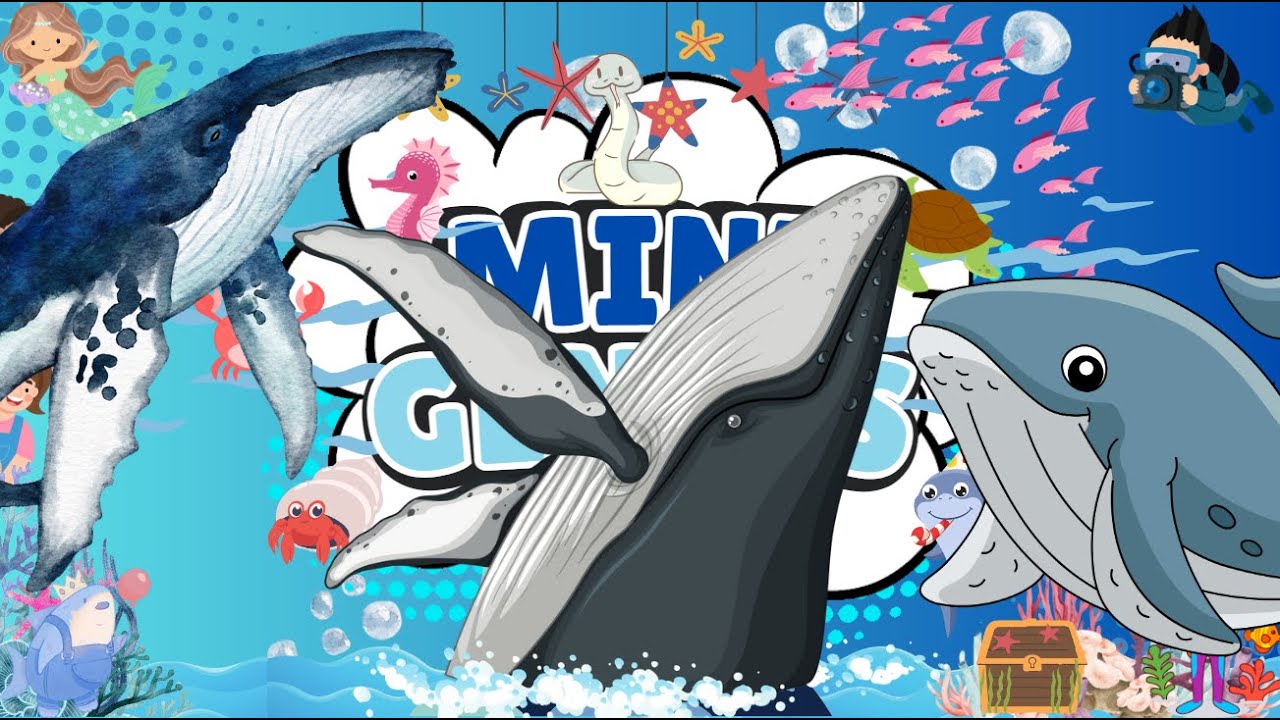 The Singing Whale | Why Do Humpback Whales Sing? #minigenius #whale # ...