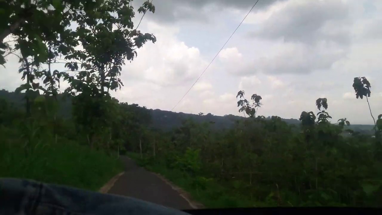 DESA DI PUNCAK BUKIT.. BITINGAN SALE REMBANG 2020 - YouTube